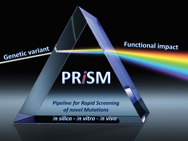 About Prism – Prism